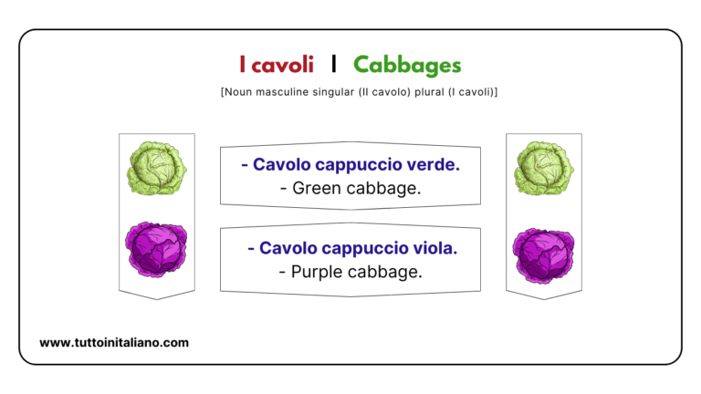 Italian basic words: Vegetable names + Legumes | Learn 20+ easy ...