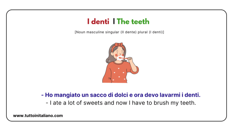 Easy Italian Vocab List - The human body (Part 1) | tuttoinitaliano