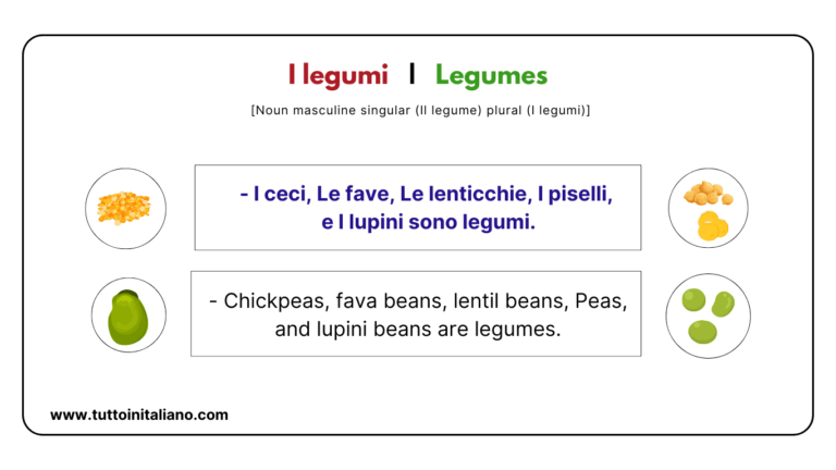 Italian basic words: Vegetable names + Legumes | Learn 20+ easy ...