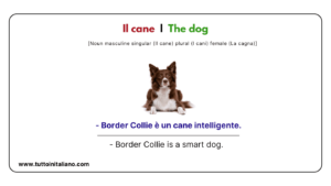 30+ Italian vocab words: Animal names with easy [Examples and Exercises ...