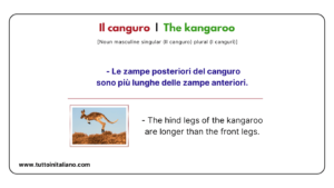30+ Italian vocab words: Animal names with easy [Examples and Exercises ...