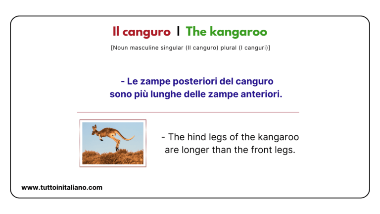 30+ Italian vocab words: Animal names with easy [Examples and Exercises ...