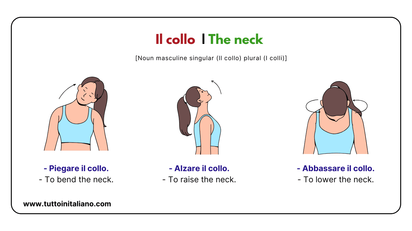 Easy Italian Vocab List - The human body (Part 1) | tuttoinitaliano