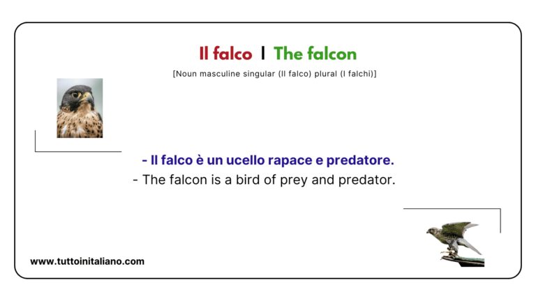 30+ Easy names of birds in Italian language with examples and audio for ...