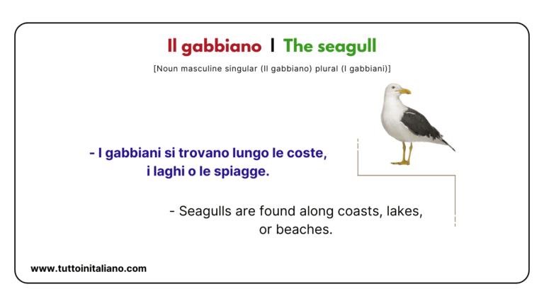 30+ Easy names of birds in Italian language with examples and audio for ...