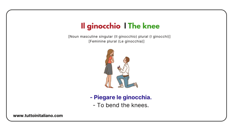 Easy Italian Vocab List - The human body (Part 1) | tuttoinitaliano