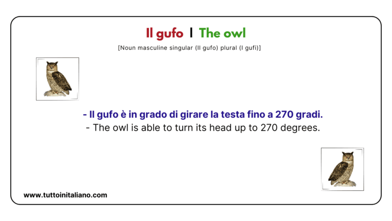 30+ Easy names of birds in Italian language with examples and audio for ...