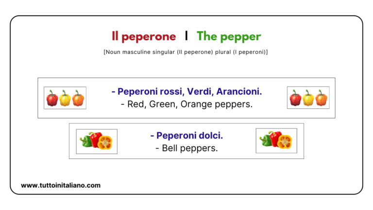 Italian basic words: Vegetable names + Legumes | Learn 20+ easy ...
