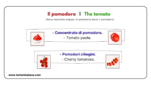 Italian basic words: Vegetable names + Legumes | Learn 20+ easy ...