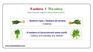 Italian basic words: Vegetable names + Legumes | Learn 20+ easy ...