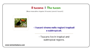 30+ Easy names of birds in Italian language with examples and audio for ...
