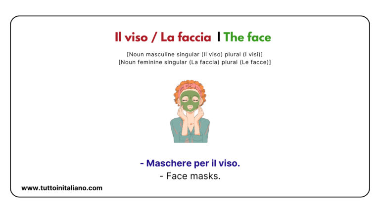 Easy Italian Vocab List - The human body (Part 1) | tuttoinitaliano