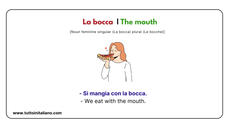 Easy Italian Vocab List - The human body (Part 1) | tuttoinitaliano