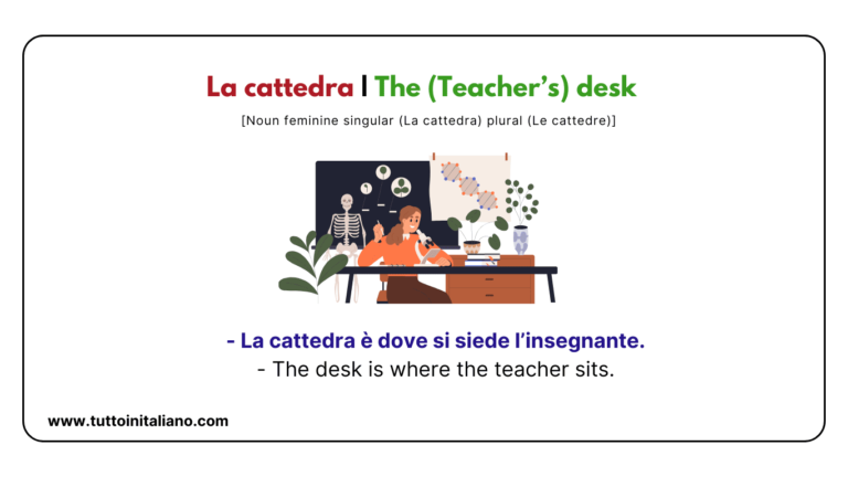 25+ Essential Italian Vocab for The School with (Examples and Audio ...