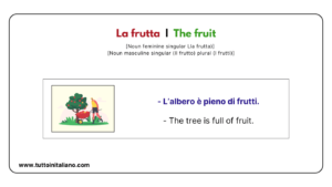 Common Italian words: Fruit names | 20+ easy fruit names with examples ...