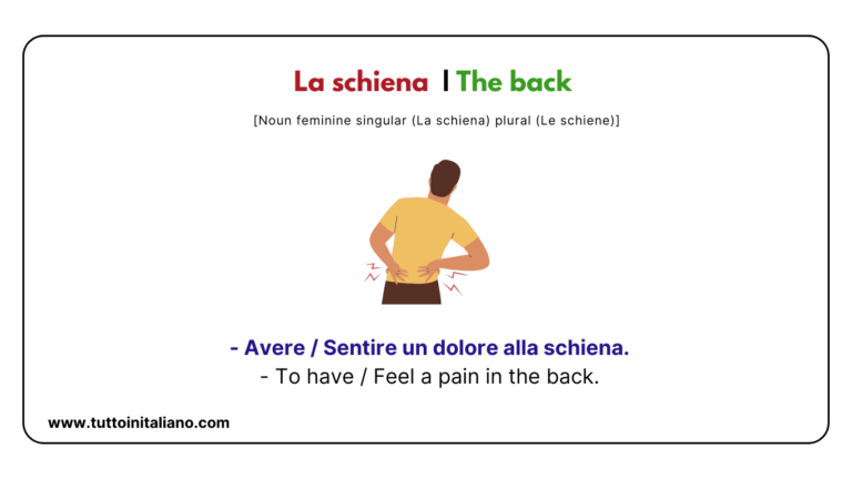 Easy Italian Vocab List - The human body (Part 1) | tuttoinitaliano