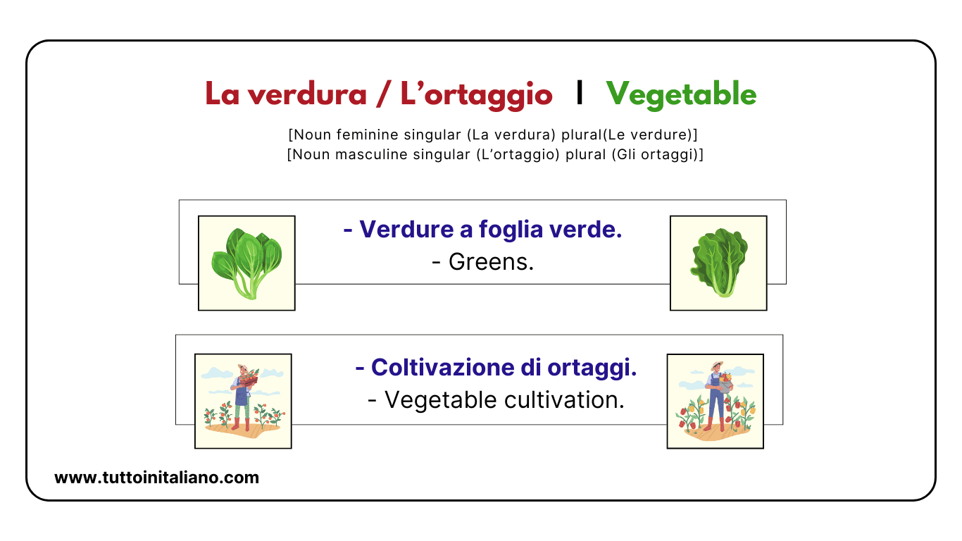 Italian basic words: Vegetable names + Legumes | Learn 20+ easy ...