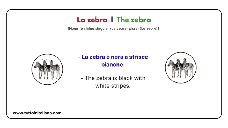 30+ Italian vocab words: Animal names with easy [Examples and Exercises ...