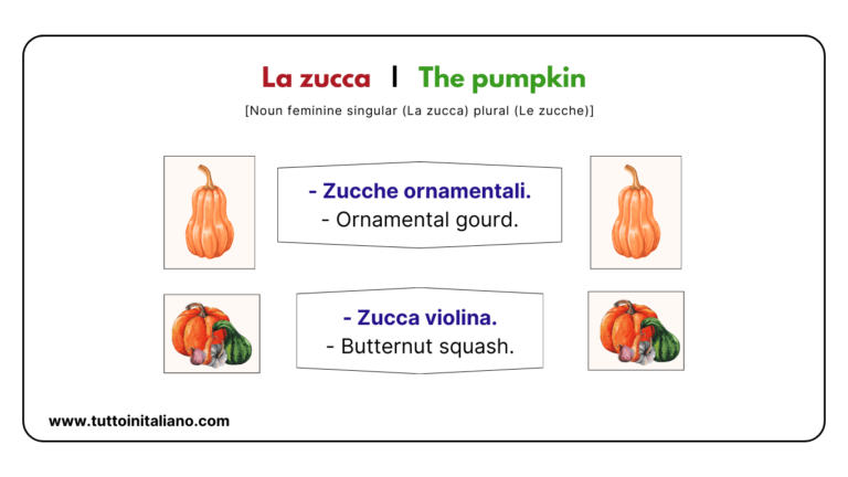 Italian basic words: Vegetable names + Legumes | Learn 20+ easy ...