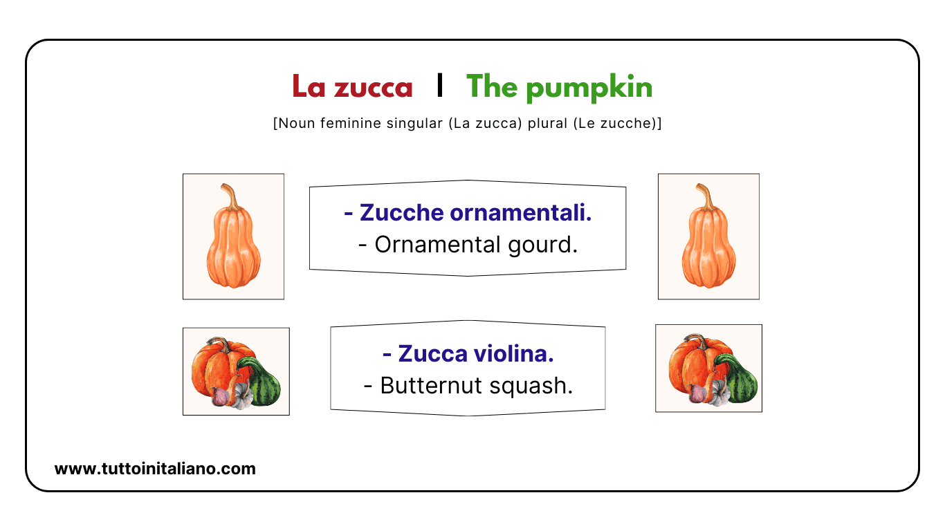 Italian basic words: Vegetable names + Legumes | Learn 20+ easy ...