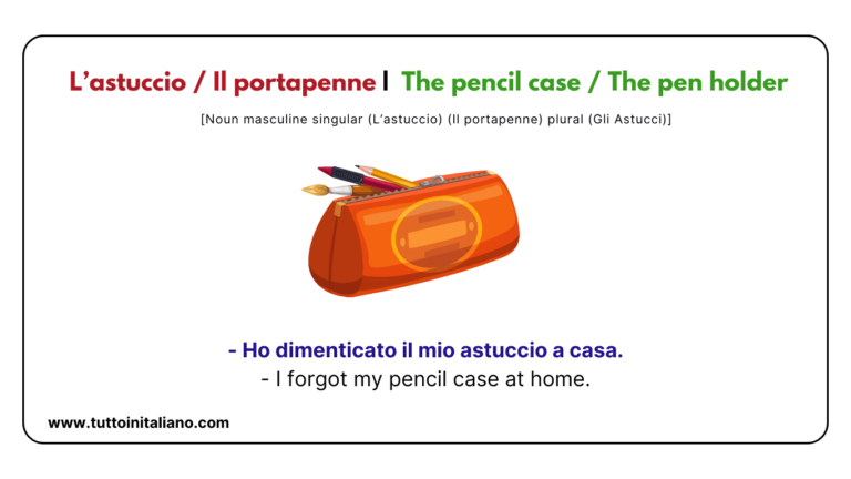 25+ Essential Italian Vocab for The School with (Examples and Audio ...