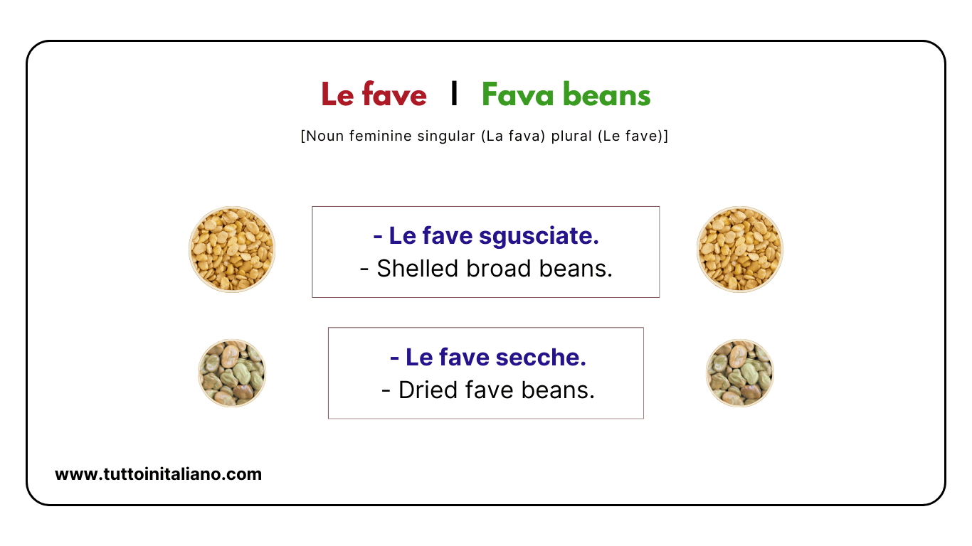 Italian basic words: Vegetable names + Legumes | Learn 20+ easy ...