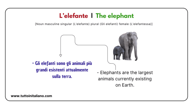 30+ Italian vocab words: Animal names with easy [Examples and Exercises ...