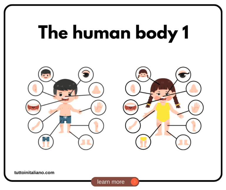 Easy Italian Vocab List - The human body (Part 1) | tuttoinitaliano