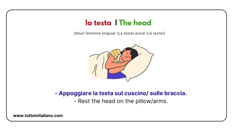 Easy Italian Vocab List - The human body (Part 1) | tuttoinitaliano