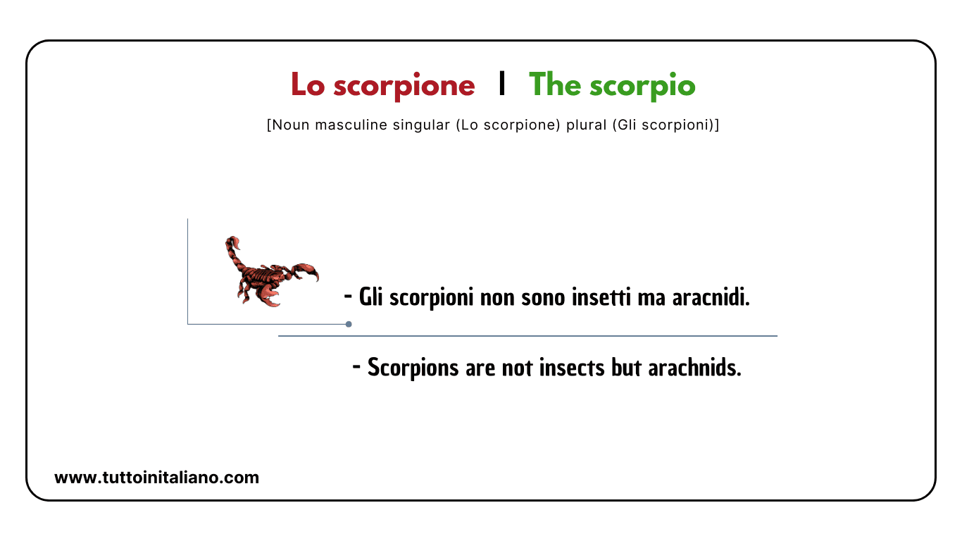 30+ Easy names of Insects in Italian With Examples and Audio ...