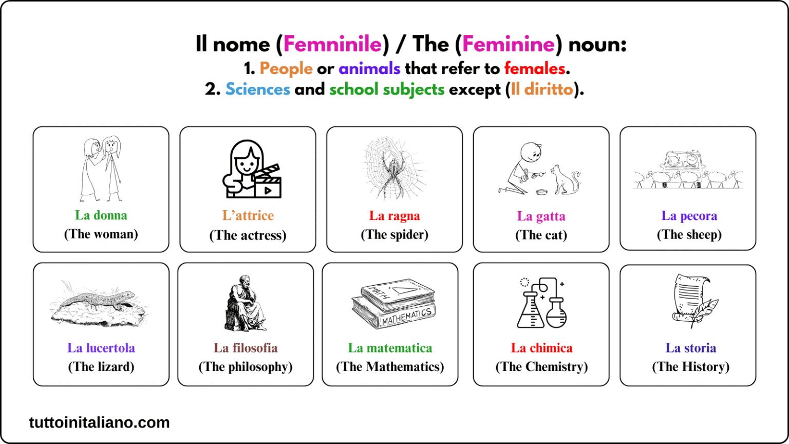 Il nome (femninile) / The (feminine) noun. | tuttoinitaliano