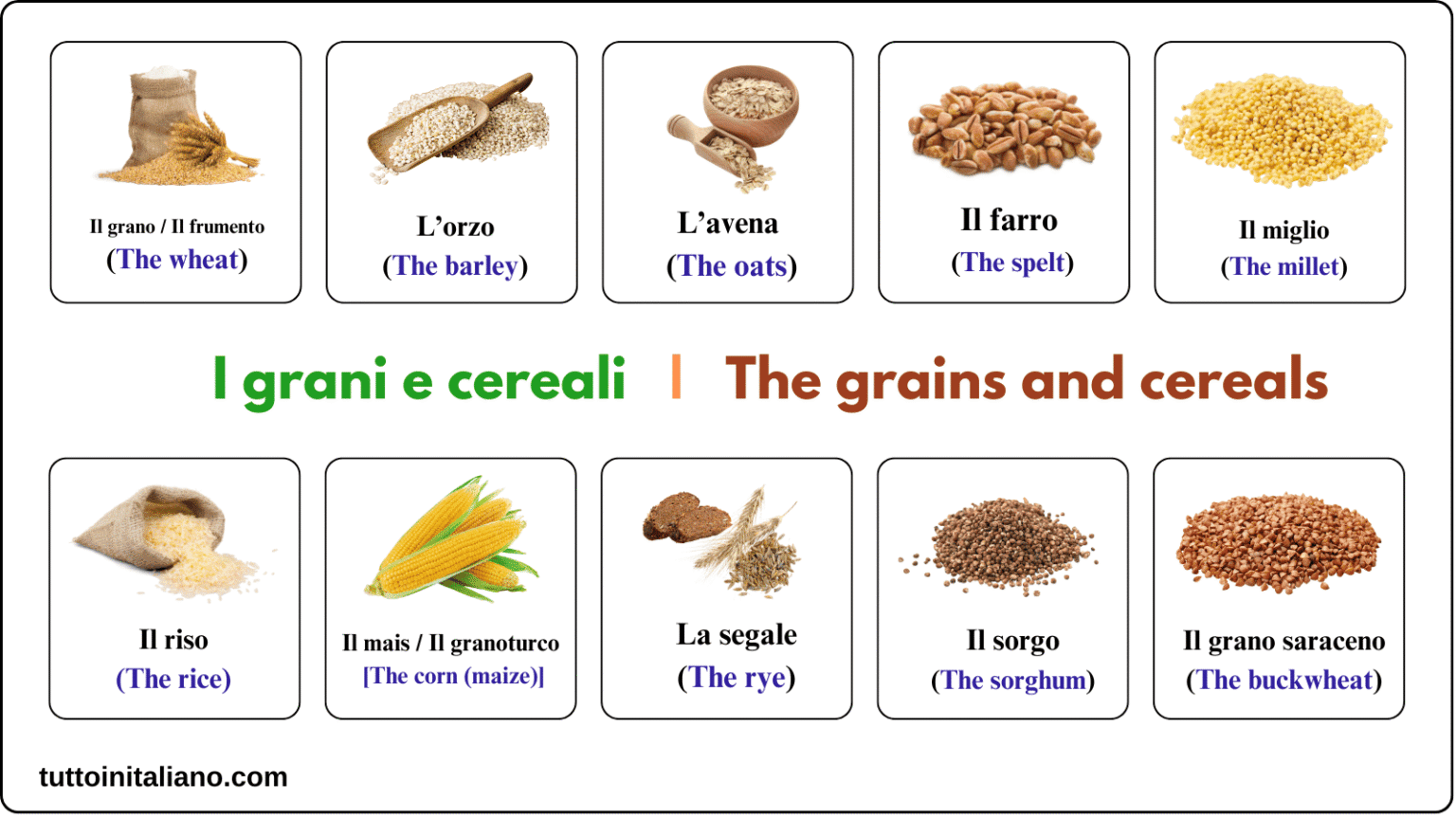 I nomi dei grani e cereali / The names of grains and cereals ...