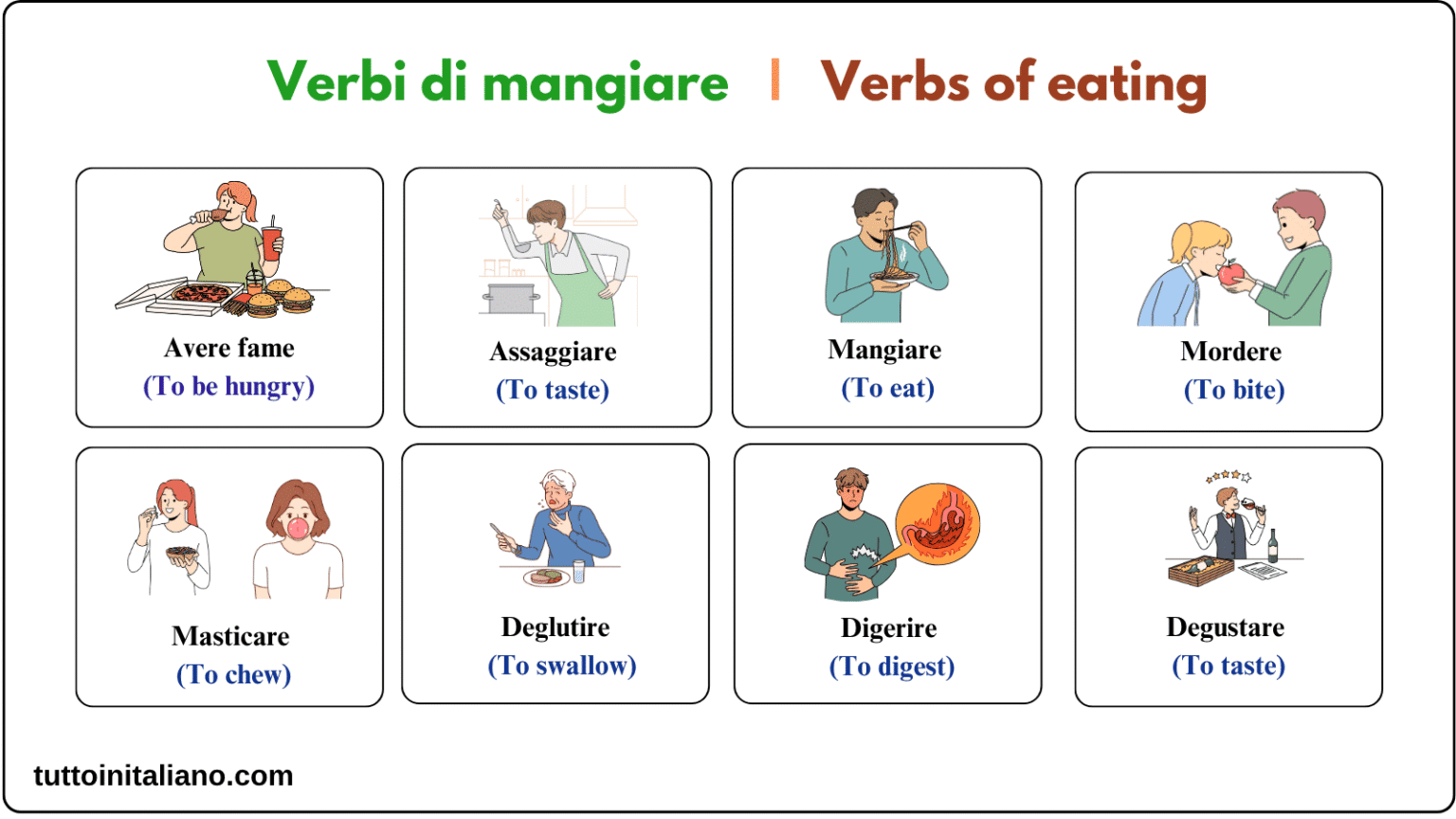 Verbi di mangiare e bere / Verbs of eating and drinking | tuttoinitaliano